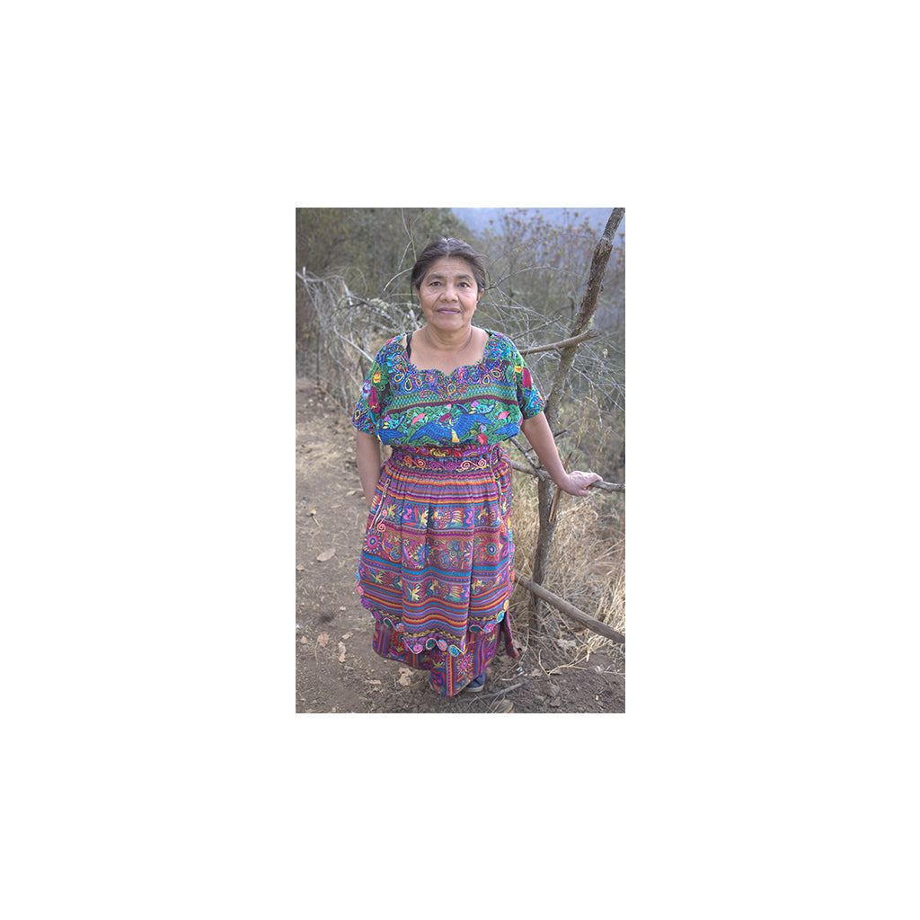 Felix Felisa Velasco Castro de Gutiérrez – Multicolores